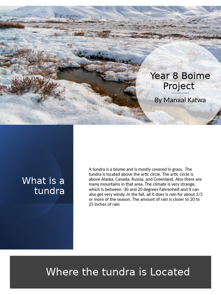 Year 8 Biome Project | PDF | Arctic | Natural Environment