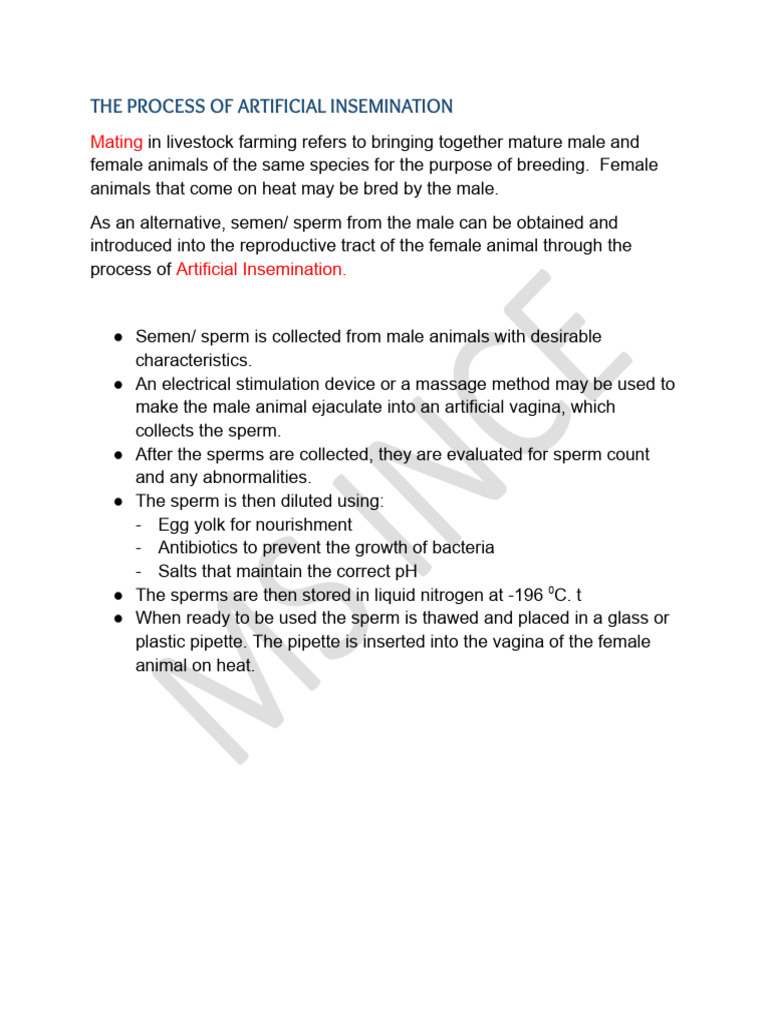 The Process of Artificial Insemination | PDF