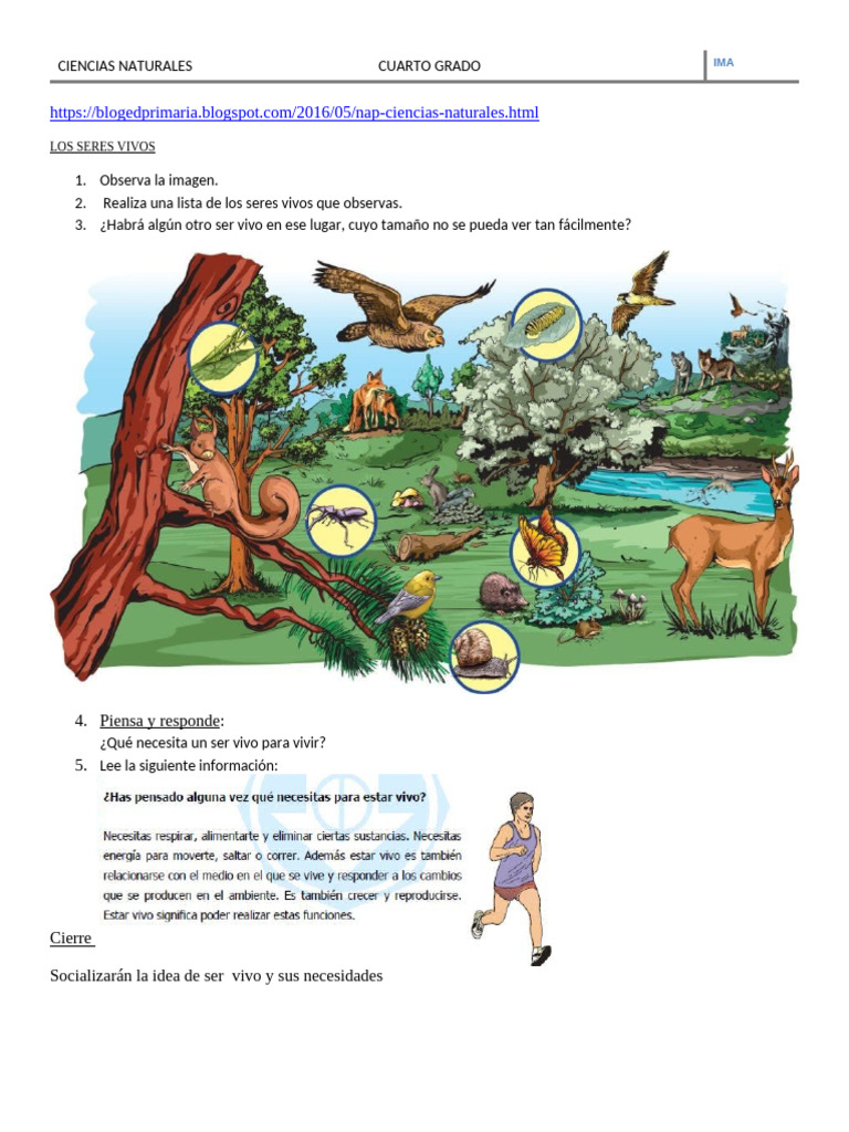 Ciencias Naturales Seres Vivos | PDF
