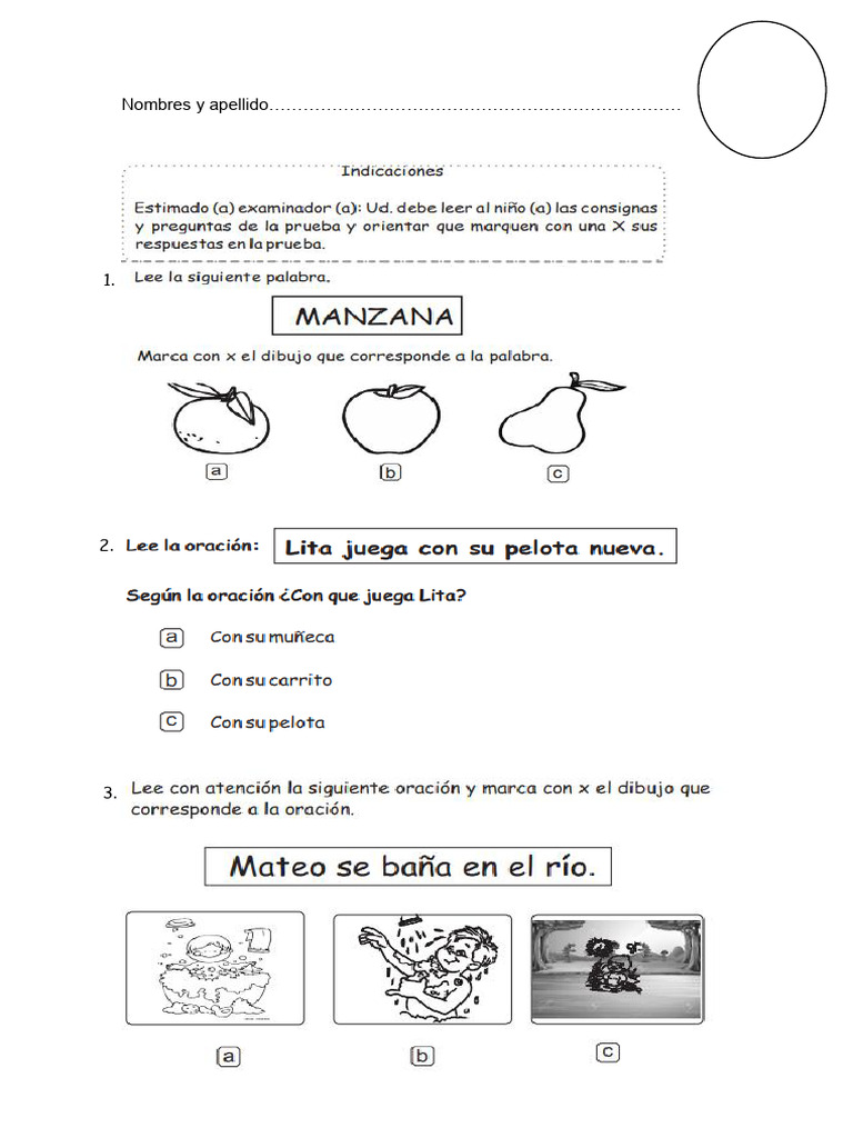 Comunicación 1 Grado Pdf