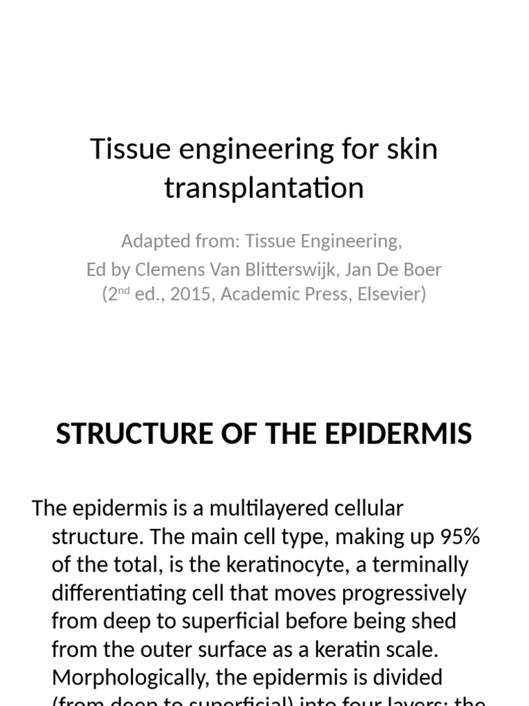 I Am Sharing 'Tissue Engineering For Skin Transplantation' With You | PDF | Stem Cell | Cell Potency