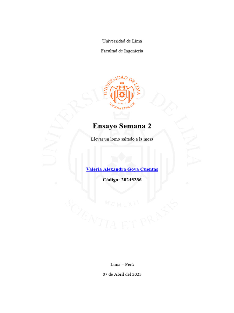 Ensayo - Sem02.1 | PDF