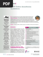 2020 Anesthesia and Monitoring-Guidelines Final | PDF | Anesthesia ...