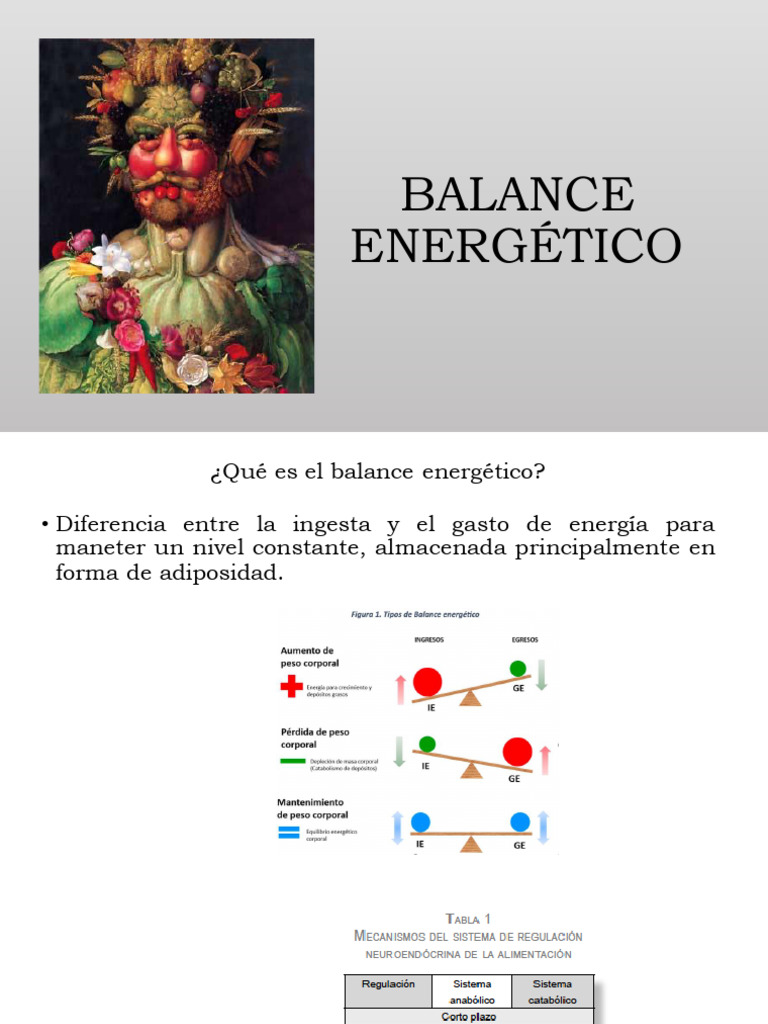 Balance Energético | PDF | Estómago | Digestión