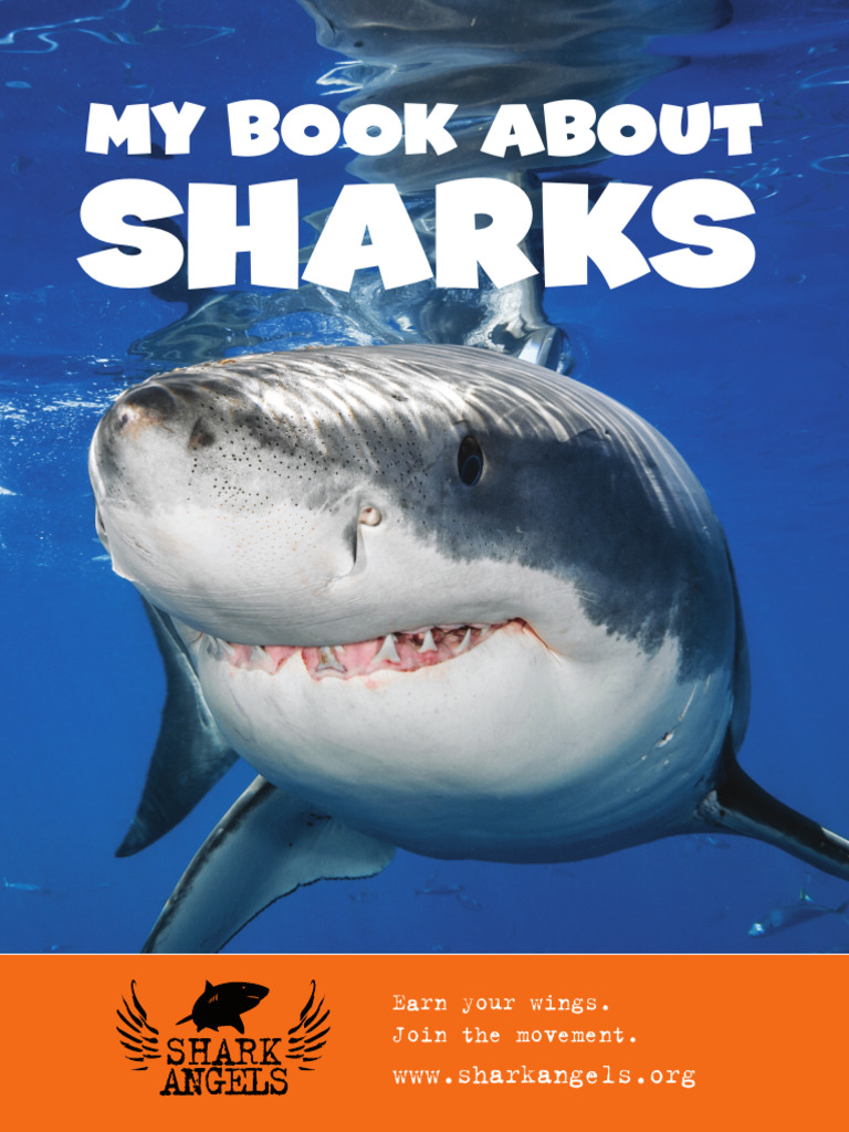 Shark Angels Activity Book | PDF | Sharks | Egg