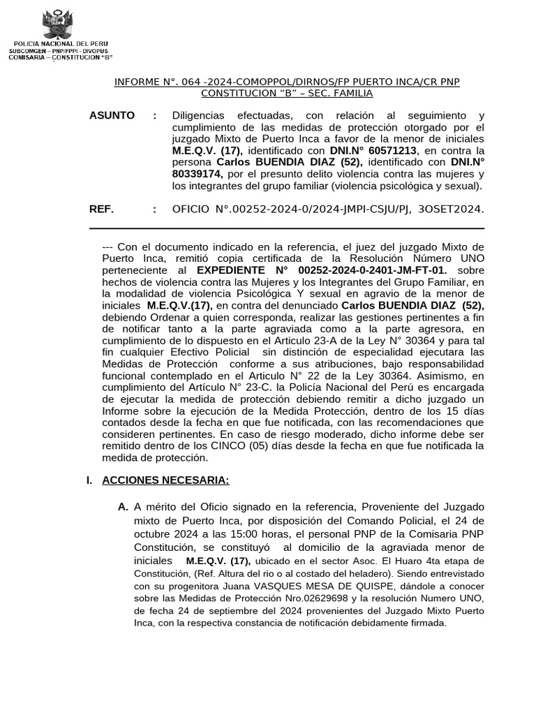 Informe Policial PNP | PDF | Justicia | Crimen y violencia