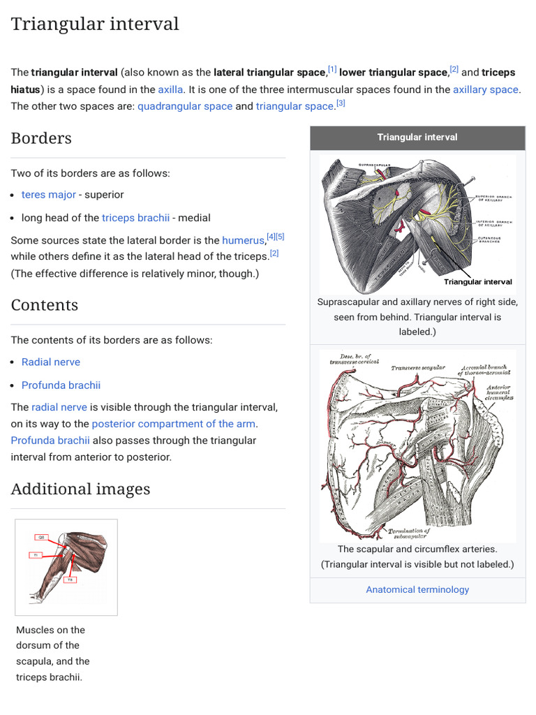 Triangularinterval Wikipedia 1745132625808 | PDF | Limbs (Anatomy ...