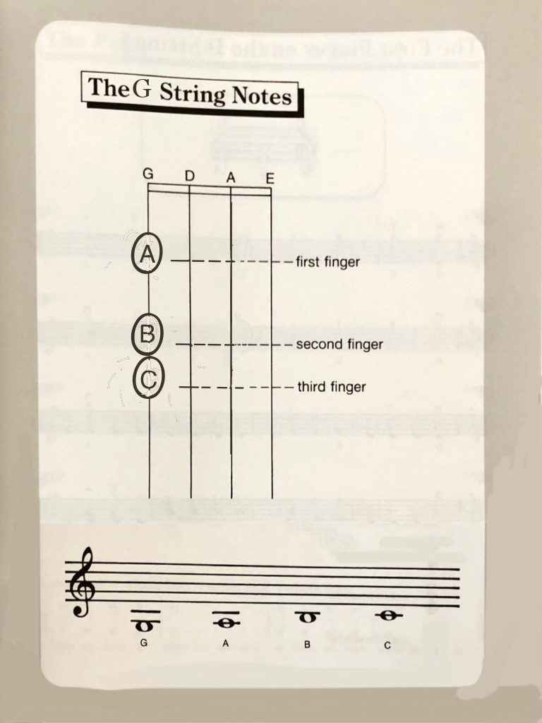 Notes On Violin Strings | PDF