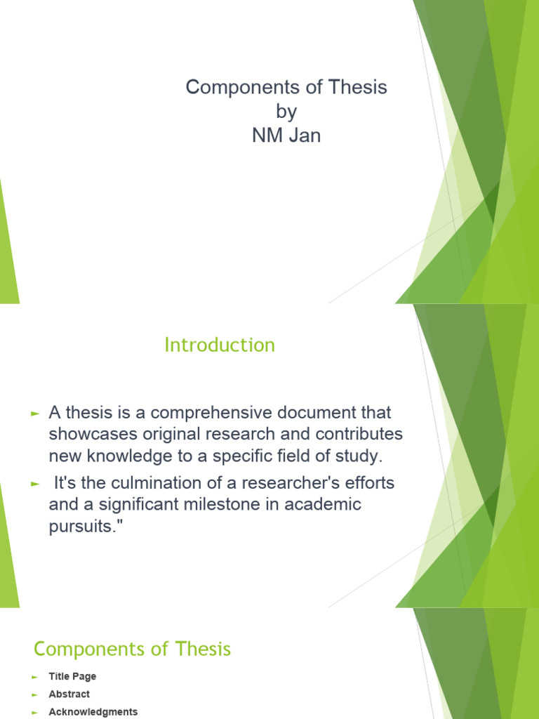 Essential Thesis Components Explained | PDF | Methodology | Thesis