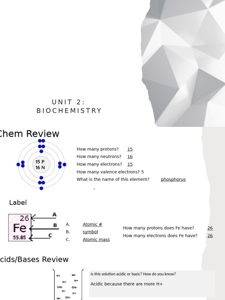 Biochem Review PowerPoint | PDF | Lipid | Fatty Acid
