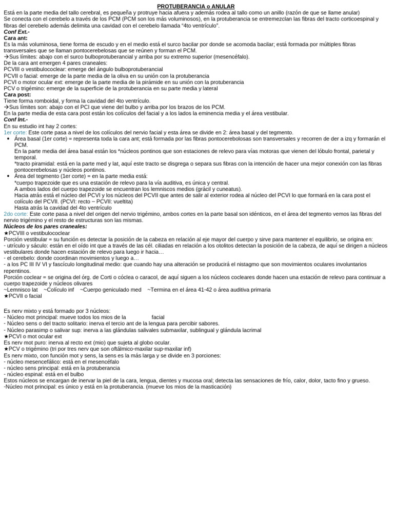 PROTUBERANCIA o ANULAR Neuro | PDF | Cerebelo | Anatomía humana