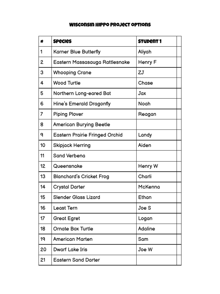 HiPPo Project Options | PDF