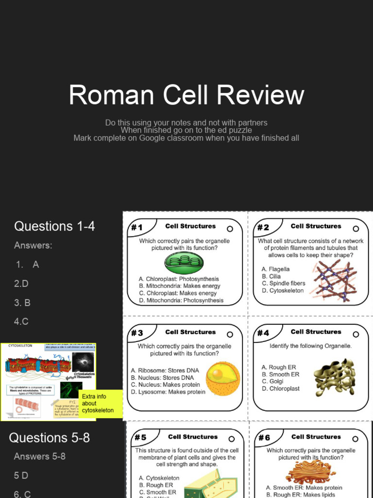Edited - Joseph Wulterkens - Cell Review | PDF