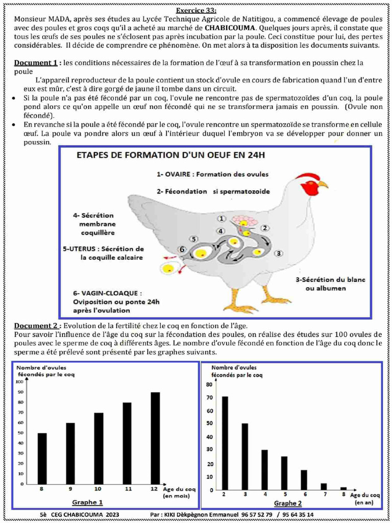 2D2S Et Grilles 5è | PDF
