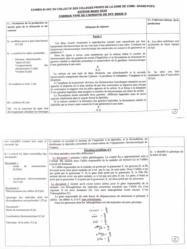 Cor Eb Bac D 2025 CP Com-Grdpop | PDF