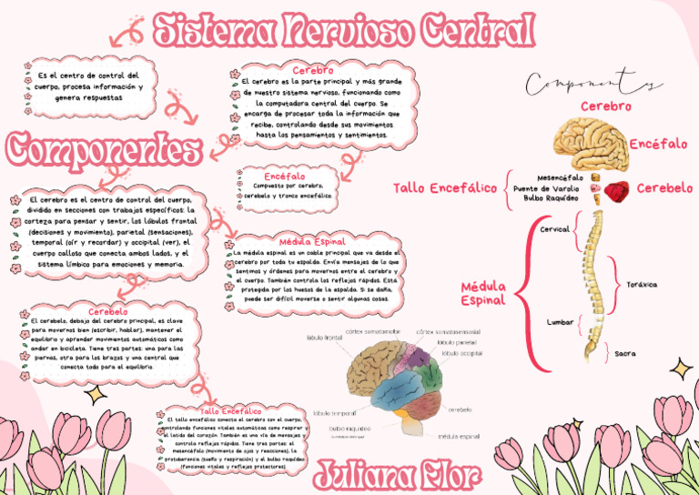 Pink Colorful Pastel Cute Playful Mind Mapping Graphic Organizer | PDF ...