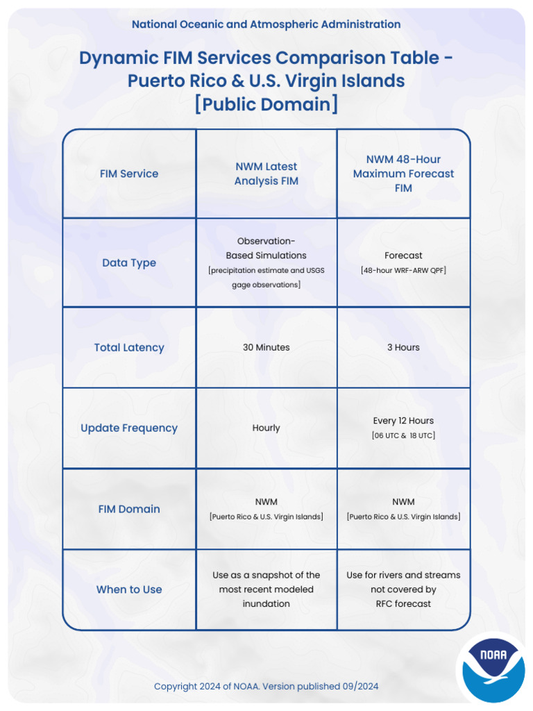 (PR - USVI) Dynamic FIM Services Comparison Table | PDF