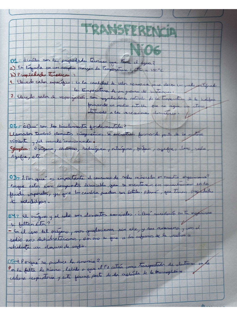 Transferencia N06 Cta | PDF