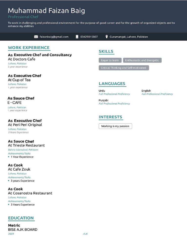 Faizan CV | PDF