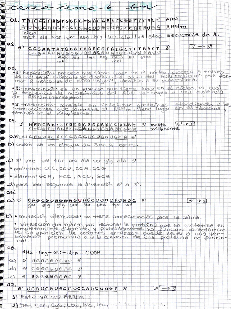 Adobe Scan 11 de Out. de 2024 | PDF