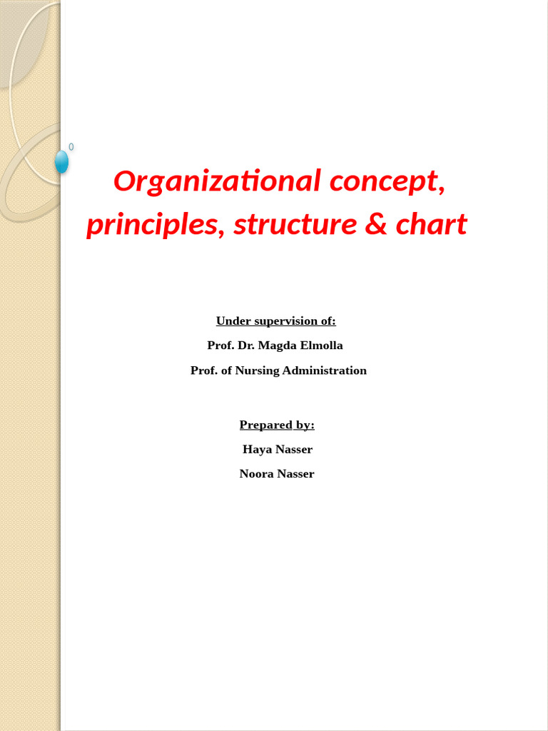 4- organizational structure haya ,noora 2 (1) | PDF | Organizational Structure | Social Psychology