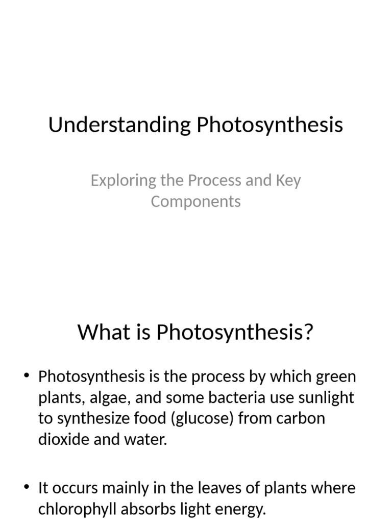 Photosynthesis Presentation | PDF