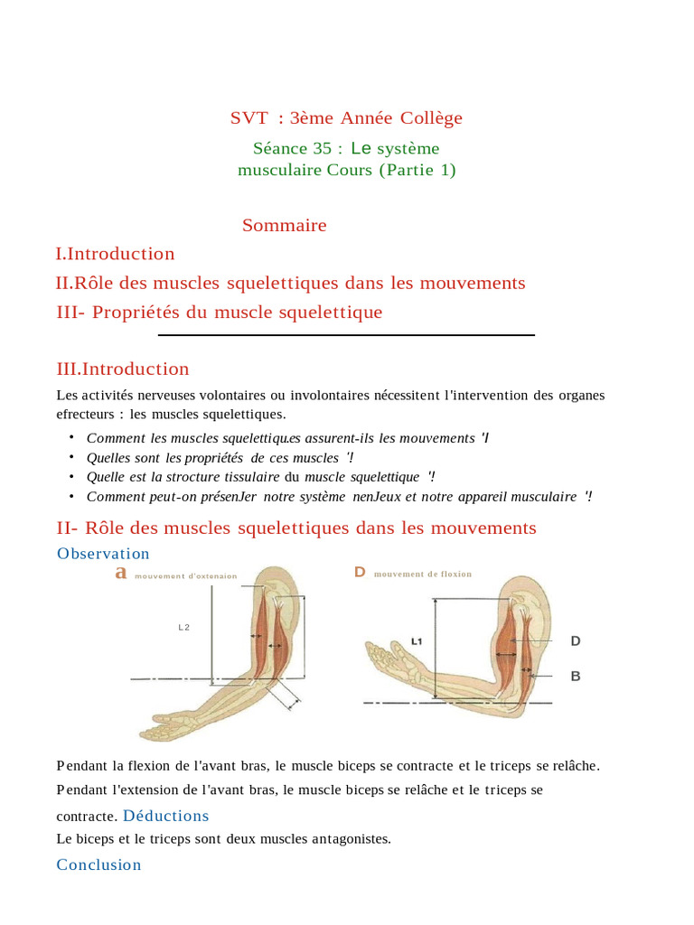 Seance 35 Le Systeme Musculaire Cours Partie 1 | PDF | Muscle | Muscle squelettique