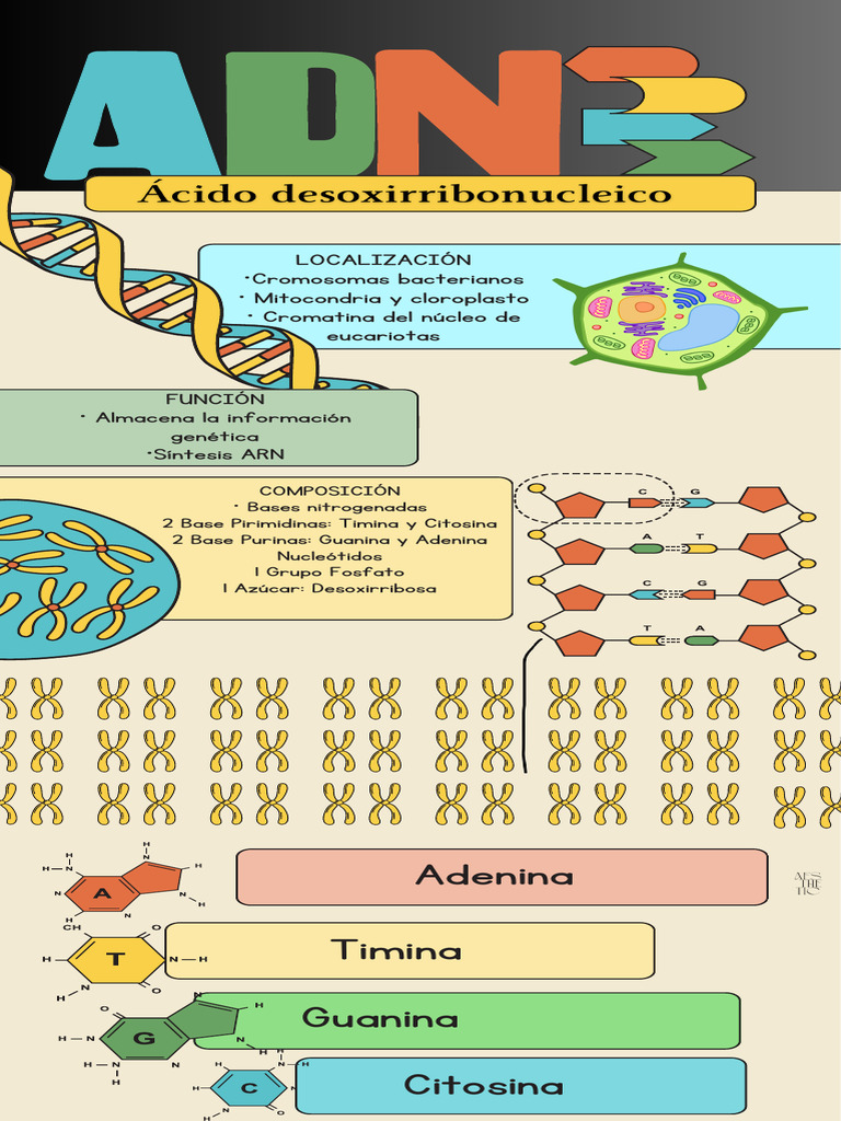 Colorful Illustrative DNA Day Science Educational Infographic PDF | PDF