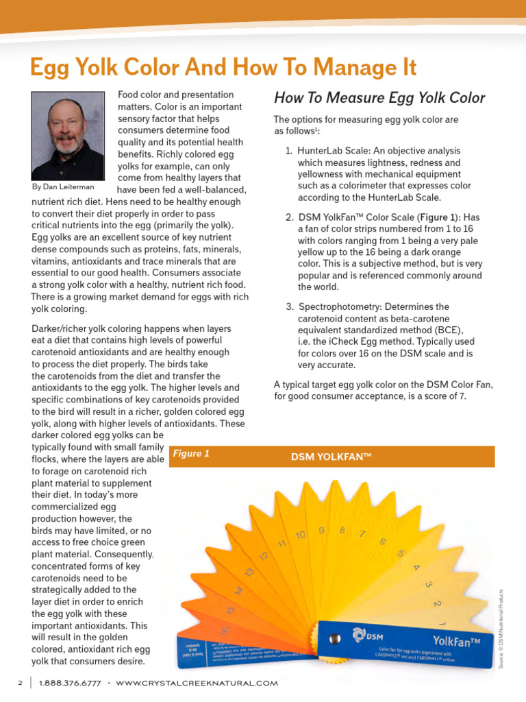 Managing Egg Yolk Color for Quality | PDF | Yolk | Carotenoid