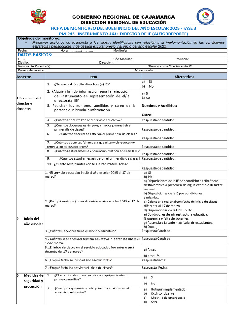 Ficha-Biae Fase 3-PM 246 - Inst 463 - Biae 2025-Director Ie | PDF