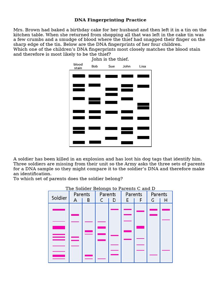 DNA Fingerprinting Practice Scenarios | PDF | House Of Romanov | Dna ...