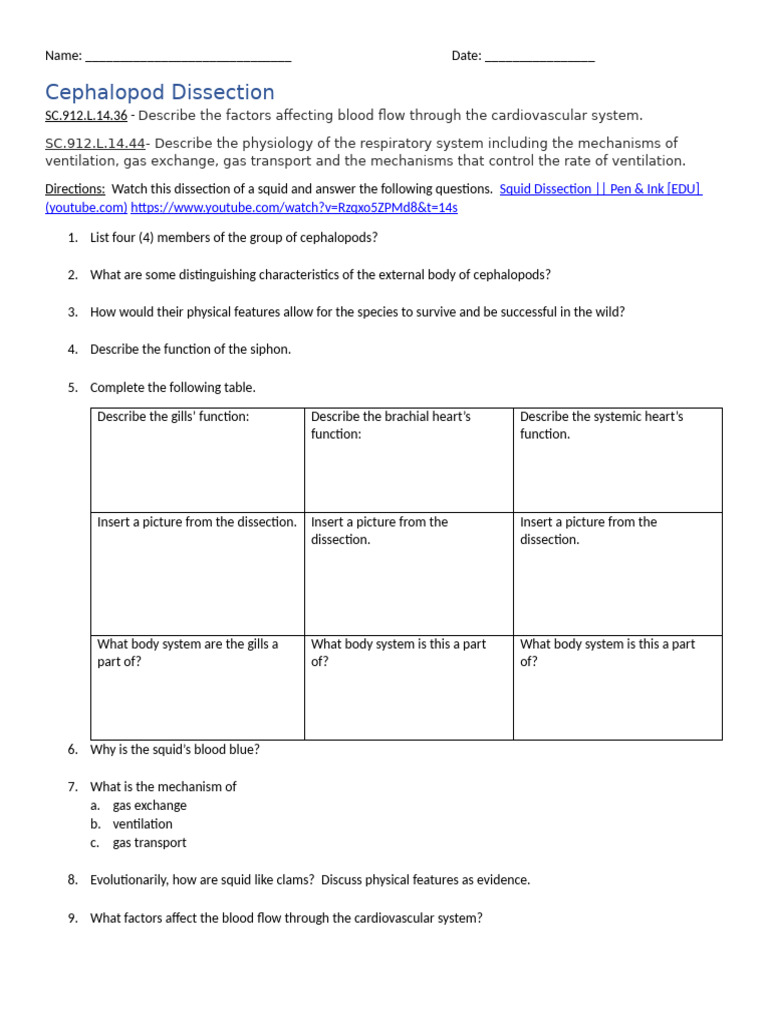 Cephalopod Dissection - Worksheet | PDF