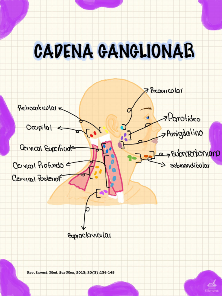 TAREA 5 CADENA GANGLIONAR | PDF