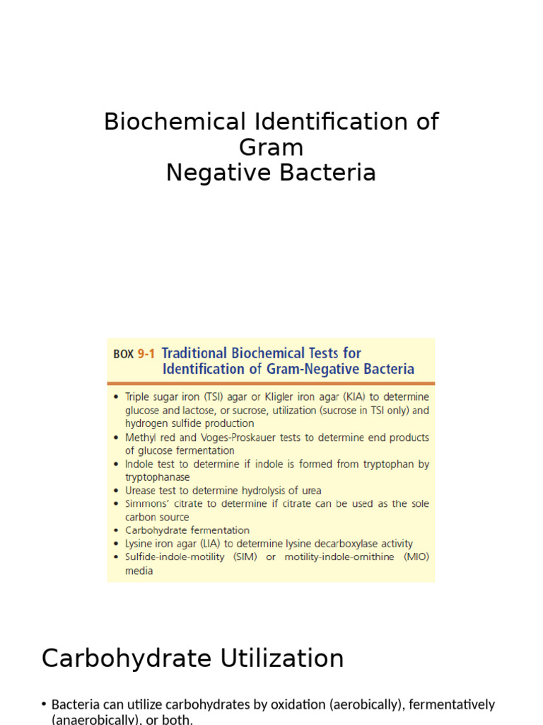 Biochemical Identification of Gram-Negative Bacteria(1) | PDF | Chemistry