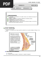 Anatomía del Hámster: Estudio Detallado | PDF | Mamíferos | Reptil