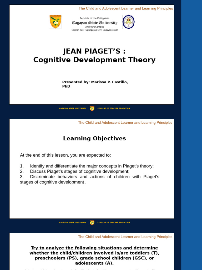 Cognitive Development Theory | PDF | Learning | Cognitive Science