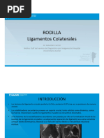 RM Tobillo y Pie (Parte 2B) - Dr. Nicolás Mendes | PDF | Dedo del pie | Pie