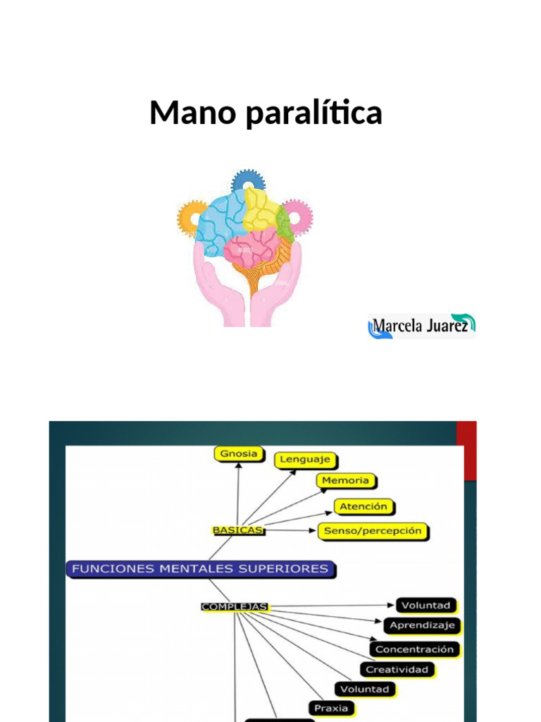 Mano Paralitica 2023 | PDF | Neurología | Extremidades (anatomía)