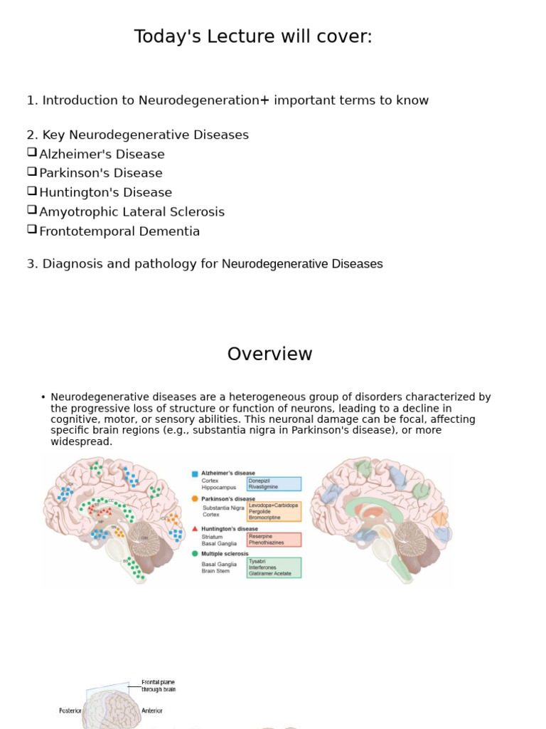 Neurodegenerative Diseases MIQDAD | PDF | Parkinson's Disease | Dementia