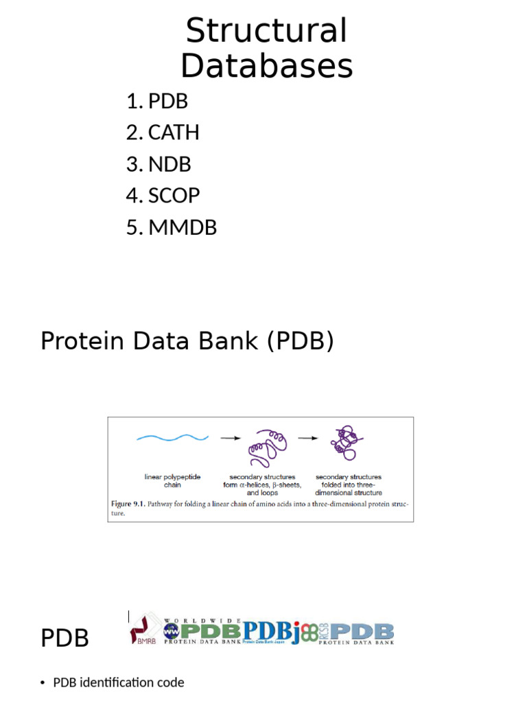 05 Structural Databases | PDF | Protein Data Bank | Nucleic Acids