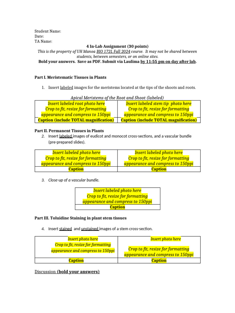 4 Angiosperm Lab Worksheet (1) | PDF | Plant Stem | Tissue (Biology)