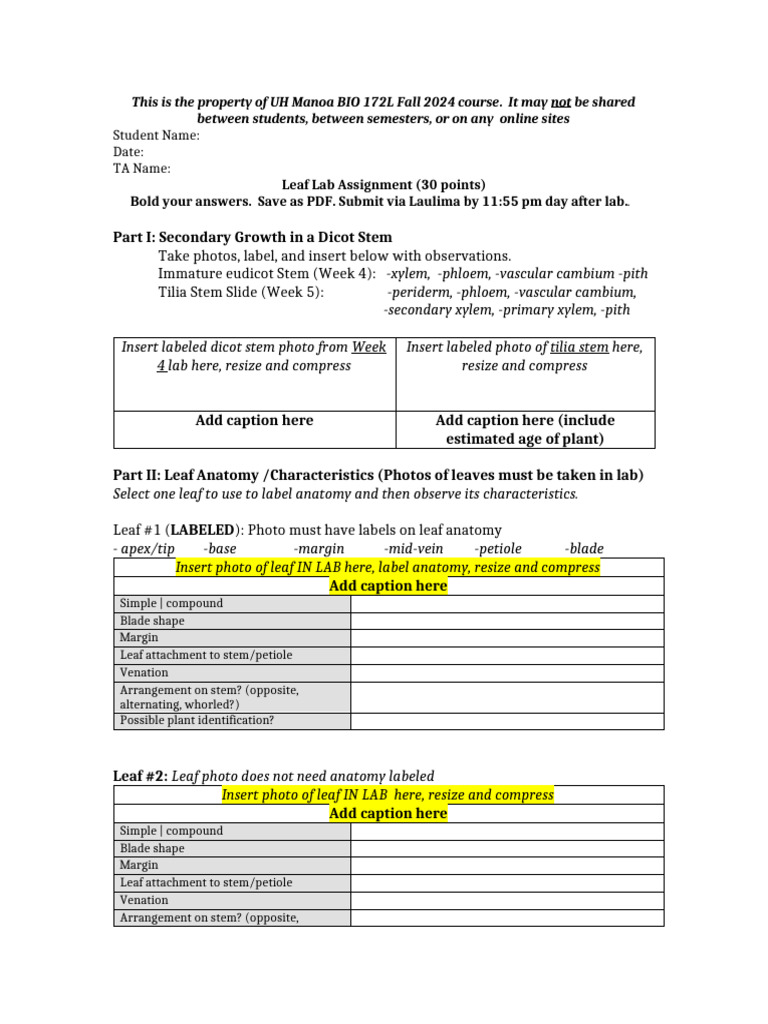 5 Leaves Lab Worksheet (1) | PDF | Leaf | Plant Stem