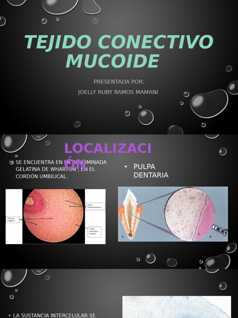 Tejido Conectivo Mucoide | PDF