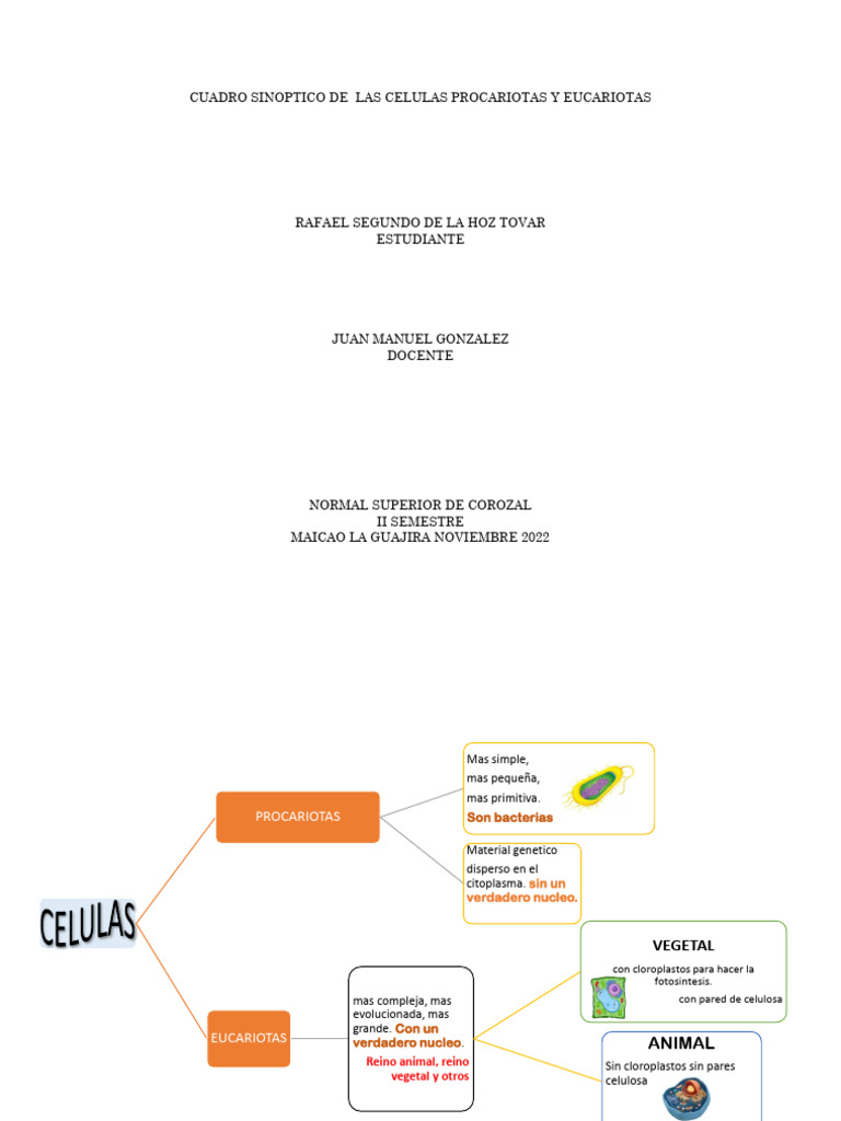 Pdf-Cuadro Sinoptico Celulas Procariotas-Eucariotas | PDF