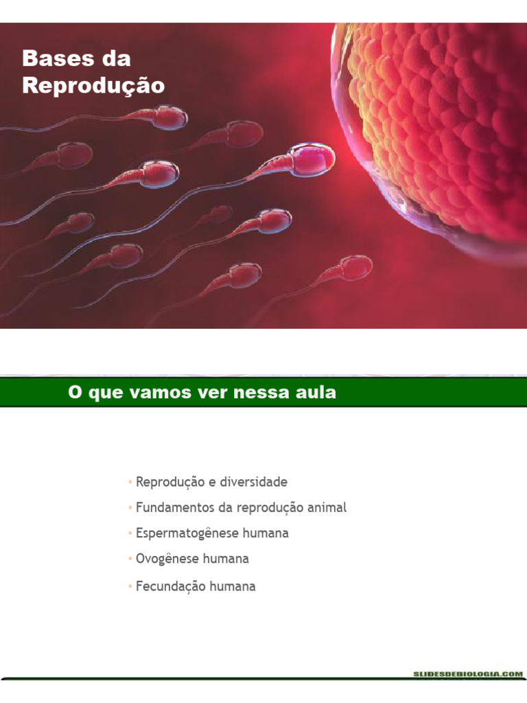 Fundamentos da Reprodução Animal | PDF | Reprodução | Reprodução sexual