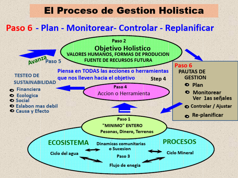 Holistic Process Model - Espana | PDF