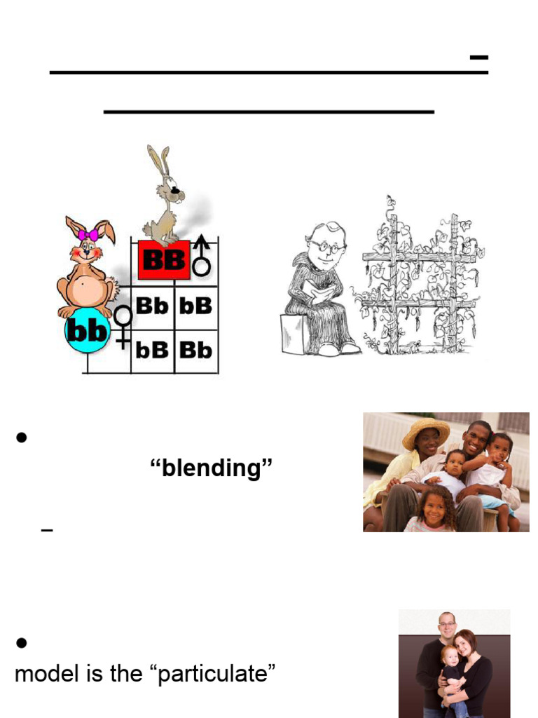 Mendelian Genetics: Inheritance Patterns | PDF | Dominance (Genetics ...