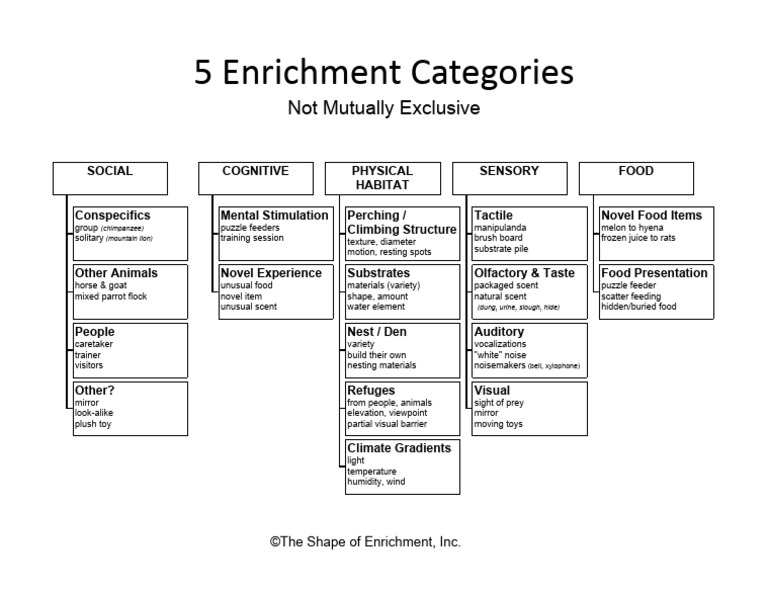 Five Enrichment Categories Overview | PDF