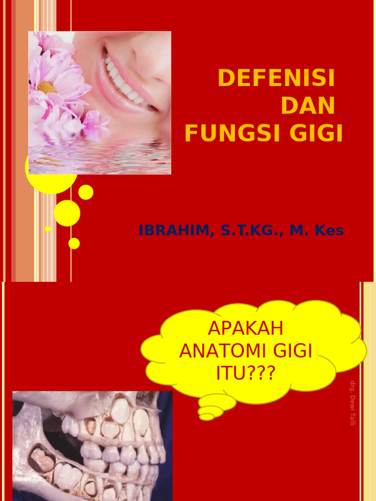 Defenisi Dan Fungsi Gigi | PDF