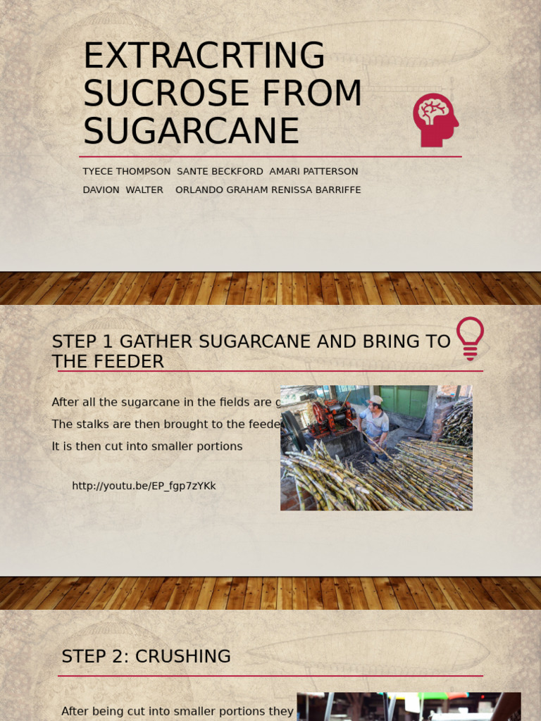 Sucrose Extraction from Sugarcane Process | PDF